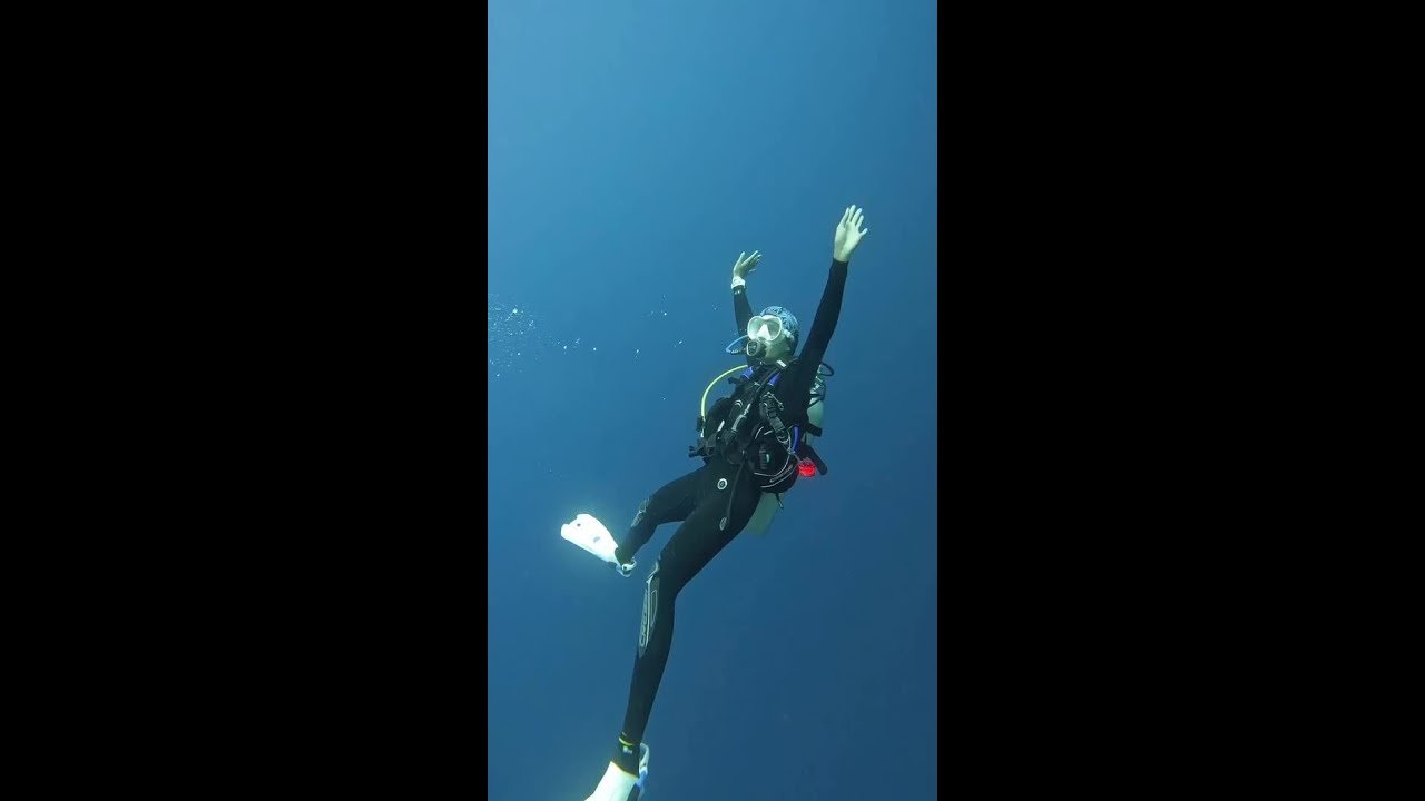 Diving into a world of wonder | New Diving Gear